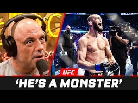 The BEST UFC Middleweight Fighters Of All Time..