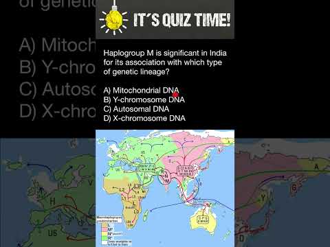 Haplogroup M