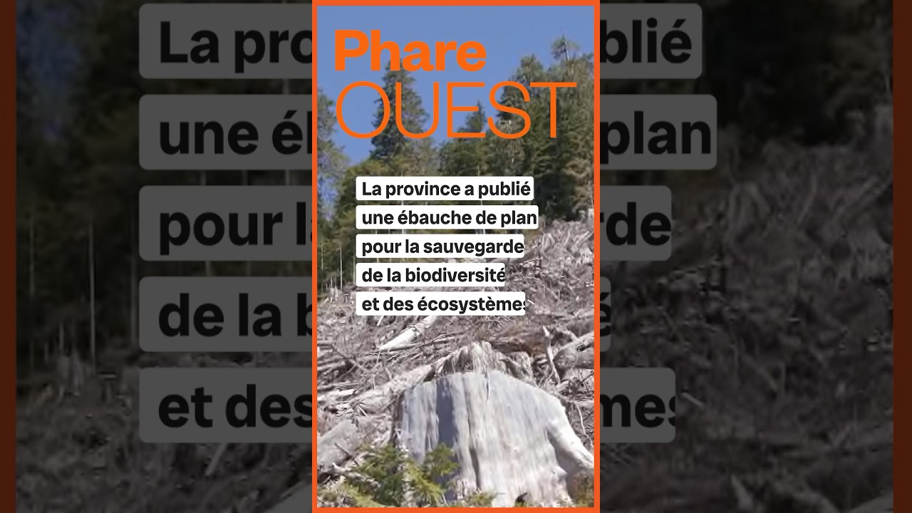 La province publie son ébauche de plan pour la sauvegarde de la biodiversité et des écosystèmes