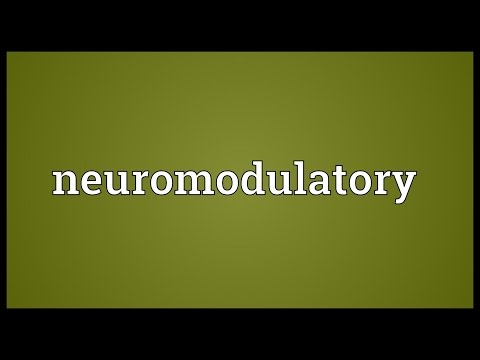 Neuromodulatory Meaning
