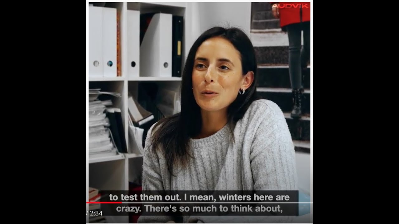 A glimpse of the Audvik universe!