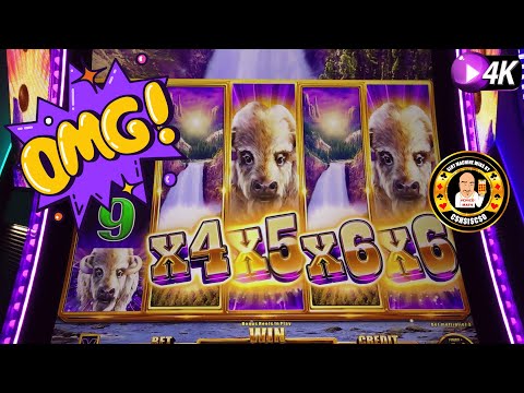 The Buffalo King Gets 2 Insanely Lucky Wins on Buffalo Slot Machines