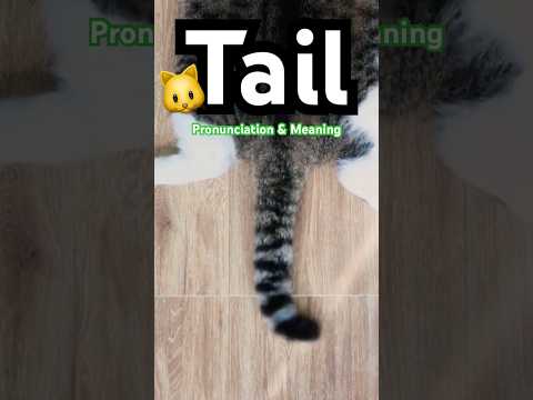 πββ¬ Tail Pronunciation and Meaning in English π± What is a Catβs Tail? Tail Definition #cat #esl