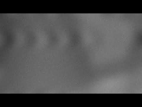 Free Download: Black and White Grainy Grunge Textured Gradient Motion Graphic Background Loop