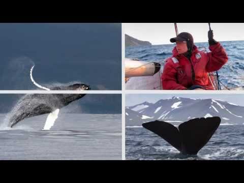 Protecting Critical Habitat for Marine Life: Olga Filatova Named 2015 Pew Marine Fellow