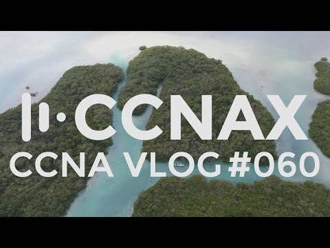 CCNA #060: LAN and WAN troubleshooting Scenario: Can you find the issues?