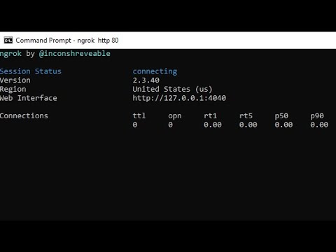 Ngrok basics
