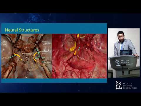 Transclival Venous Circulation - Juan J. Altafulla, MD
