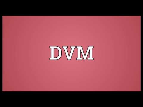 DVM Meaning