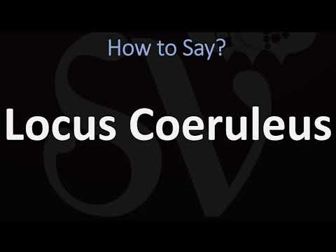 How to Pronounce Locus Coeruleus? (CORRECTLY)
