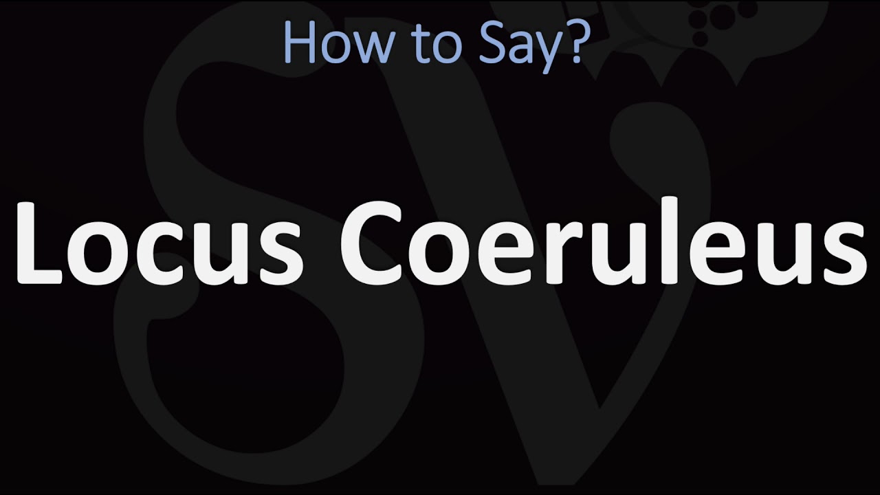 How to Pronounce Locus Coeruleus? (CORRECTLY)