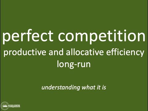 Productive & Allocative Efficiency Long-Run | Perfect Comp | IB Theory of the Firm | Market Power