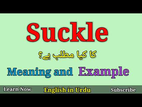 Suckle Meaning in Urdu
