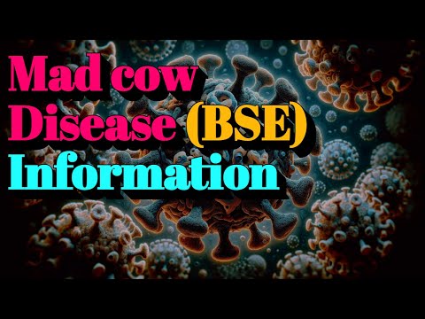 Mad cow Disease (BSE) Information (🔬Animal diseases)