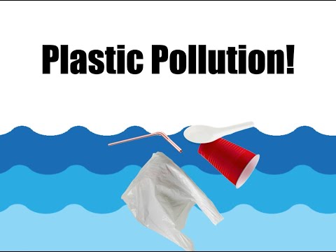 Plastic Pollution, Simplified