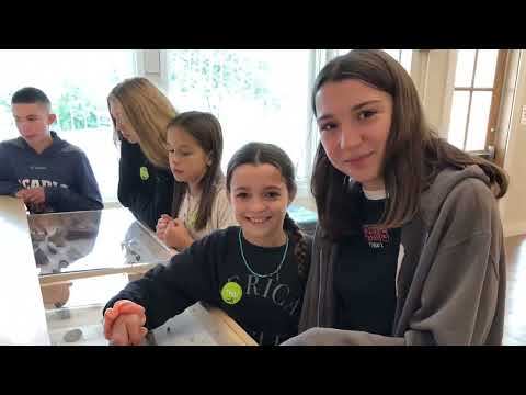 MESA and the GLLT Visit the Maine Mineral and Gem Museum