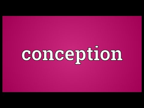 Conception Meaning