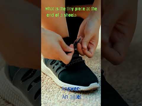 Shoelace
