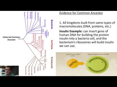 Common Ancestry