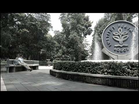 Cerita tentang hari ini @ipb university