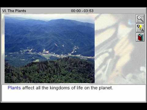 Biology: The Five Kingdoms of Life: The Plants
