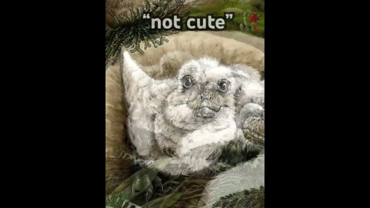 Dinosaurs weren’t cute 💔 #dinosaurs #trendingshorts #letmeknow