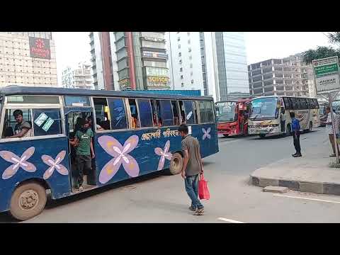 Guatemala City Bus || Bus BD International