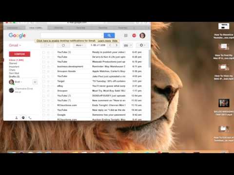 How To Access All of your SPAM emails in Gmail
