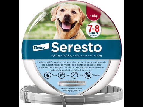 Il miglior collare antiparassitario per cani? Prova Seresto! 🐶 Protezione per 8 mesi