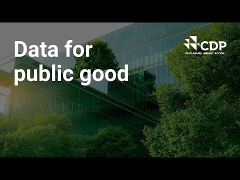 What are ESG ratings?