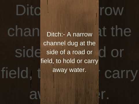 Meaning of the word Ditch