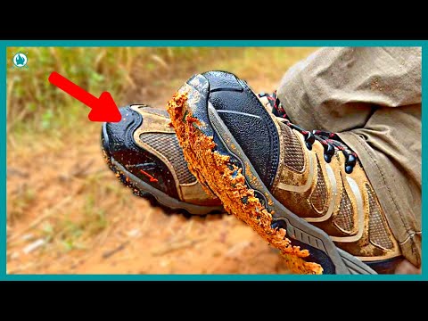 👉 These HIKING BOOTS Are Way Better Than COLUMBIA & MERREL ► AND CHEAPER!!!