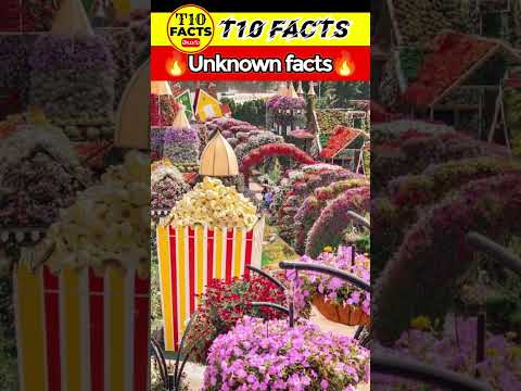 ????Top 3 Unknown facts???? | interesting facts in telugu | T10 facts #shorts #facts #viral #shortvideo