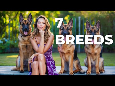 The Ultimate Guide to 2025's Dog Breeds