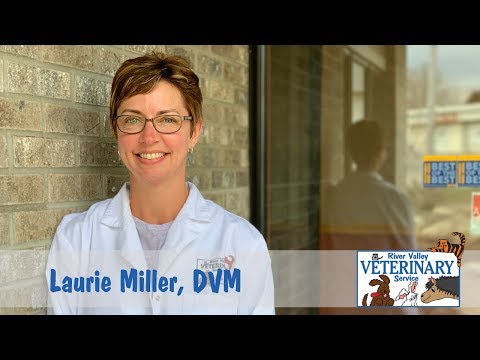 Meet Dr. Laurie Miller