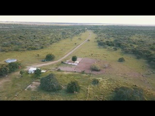 Arrendamiento de Campos Ganaderos, Federal, Entre Ríos | Agrofy