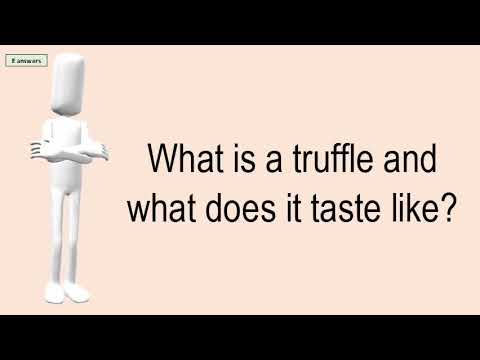 What Is A Truffle And What Does It Taste Like?