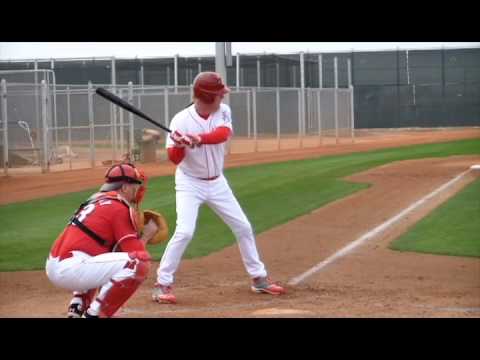 Billoneys At Bat