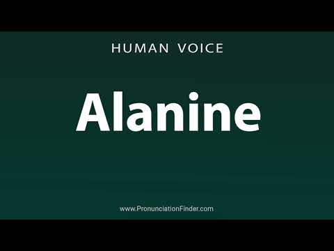 How To Pronounce Alanine