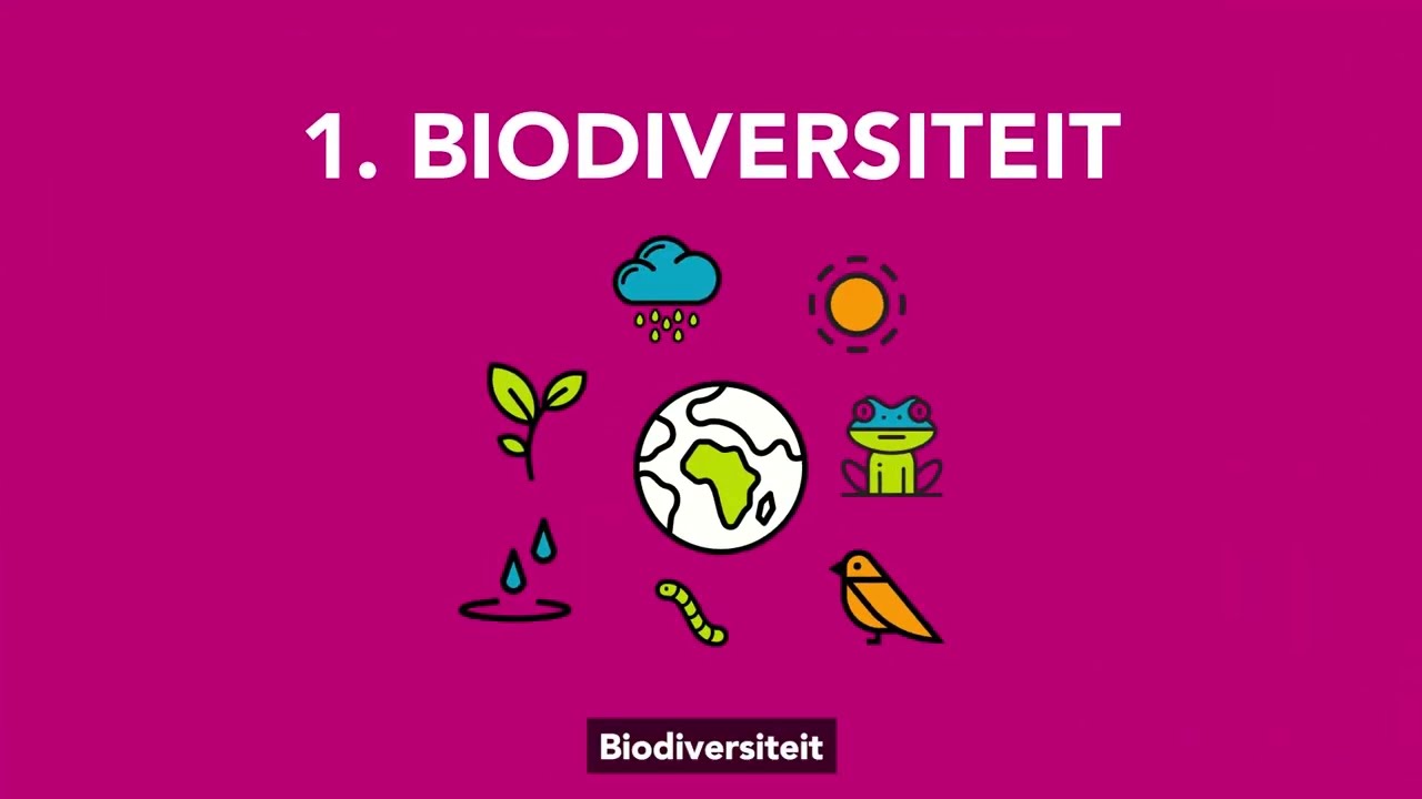 Spatial Development Frameworks - Environment (Afrikaans)