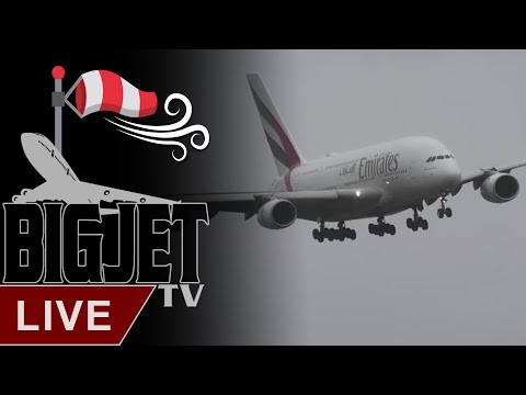 LIVE: Windy Arrivals at London Heathrow Airport