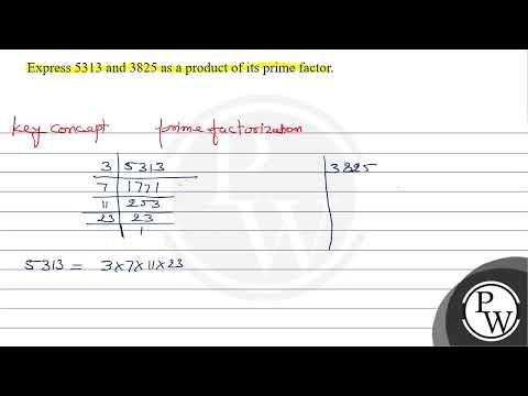 Express 5313 and 3825 as a product of its prime factor.