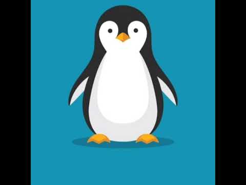 a penguin is the bird that can swim but cannot fly