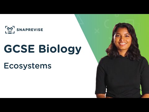 Ecosystems | 9-1 GCSE Science Biology | OCR, AQA, Edexcel