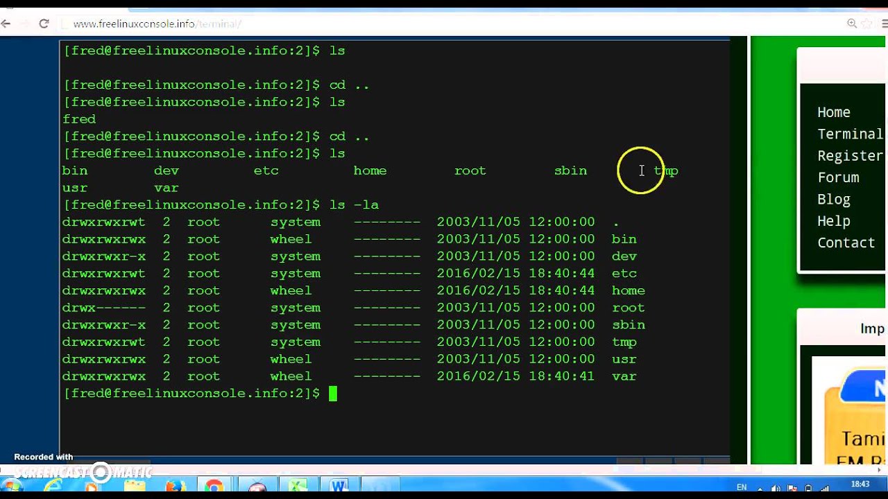 Operating Systems 1: Lab #3 - Linux Commands