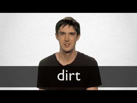 DIRT definition and meaning | Collins English Dictionary