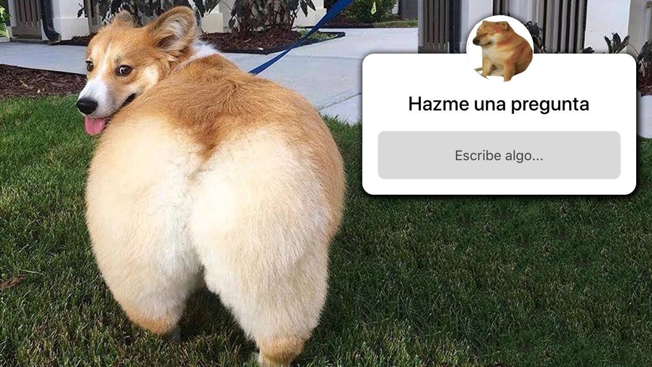 ¡TU TAMBIÉN HACES ESTO EN REDES SOCIALES Y NO LO ADMITIRÁS!