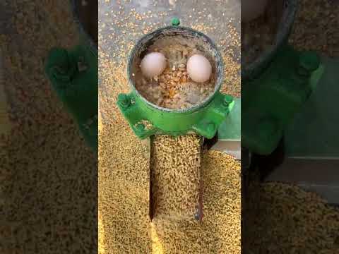 #fcnfm How to Achieve High Production Rates with FCNFM's Pellet Mill