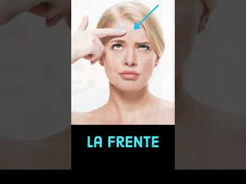 Parts of the Head in Spanish! (154)