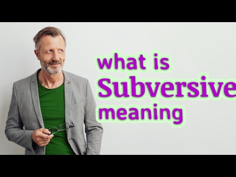 Subversive | Definition of subversive 📖 📖